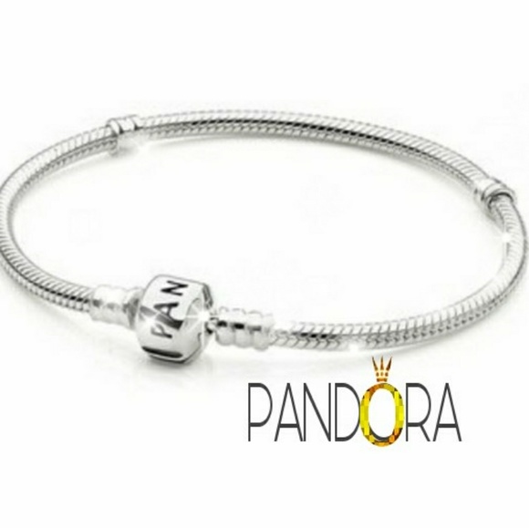 Pandora | Jewelry | Authentic Pandora Iconic Silver Charm Bracelet ...